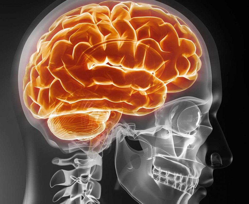 New Medical Research Shows Brain Imaging Can Now Help Doctors ...