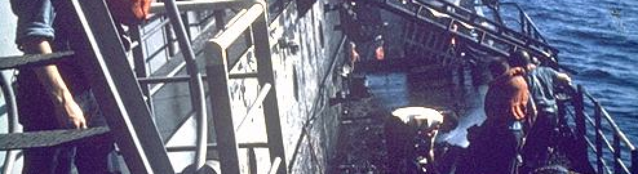 US Navy Sailor’s Account of Recovering from the USS Liberty Incident ...